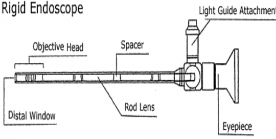Endoscope Special Rod Lenses - SZLASER