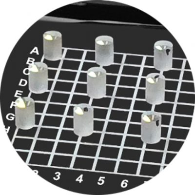 Rod Lenses - SZLASER