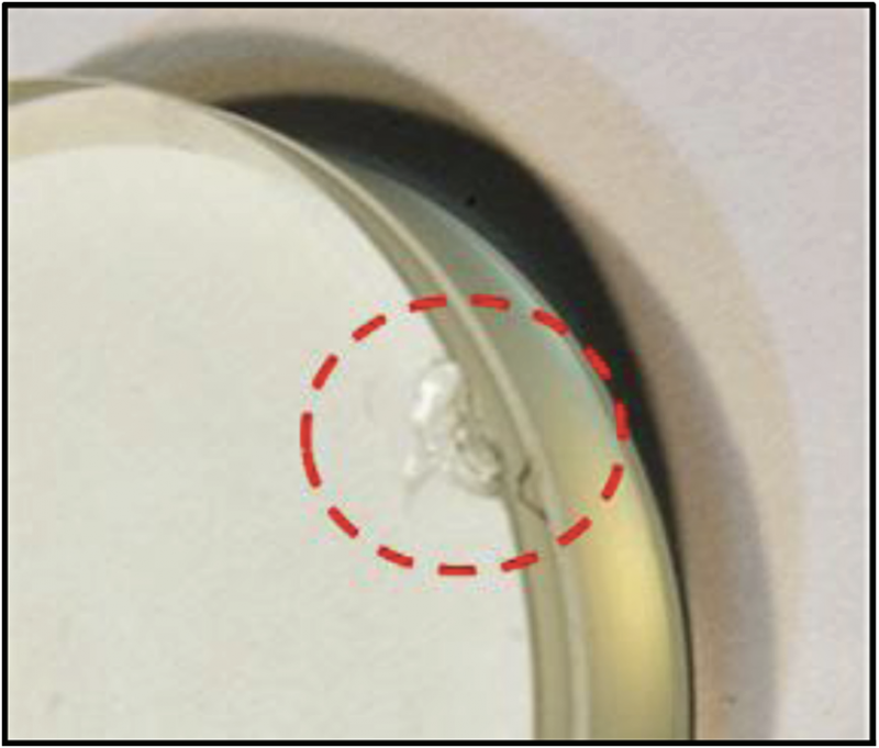 Illustrations of Visible Defects in Optical Elements - SZLASER