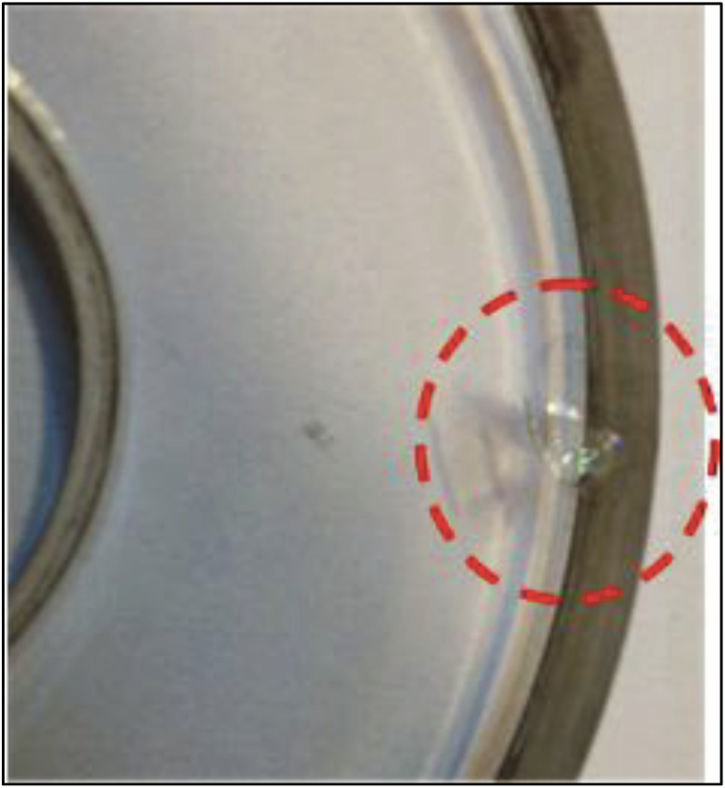 Illustrations of Visible Defects in Optical Elements - SZLASER